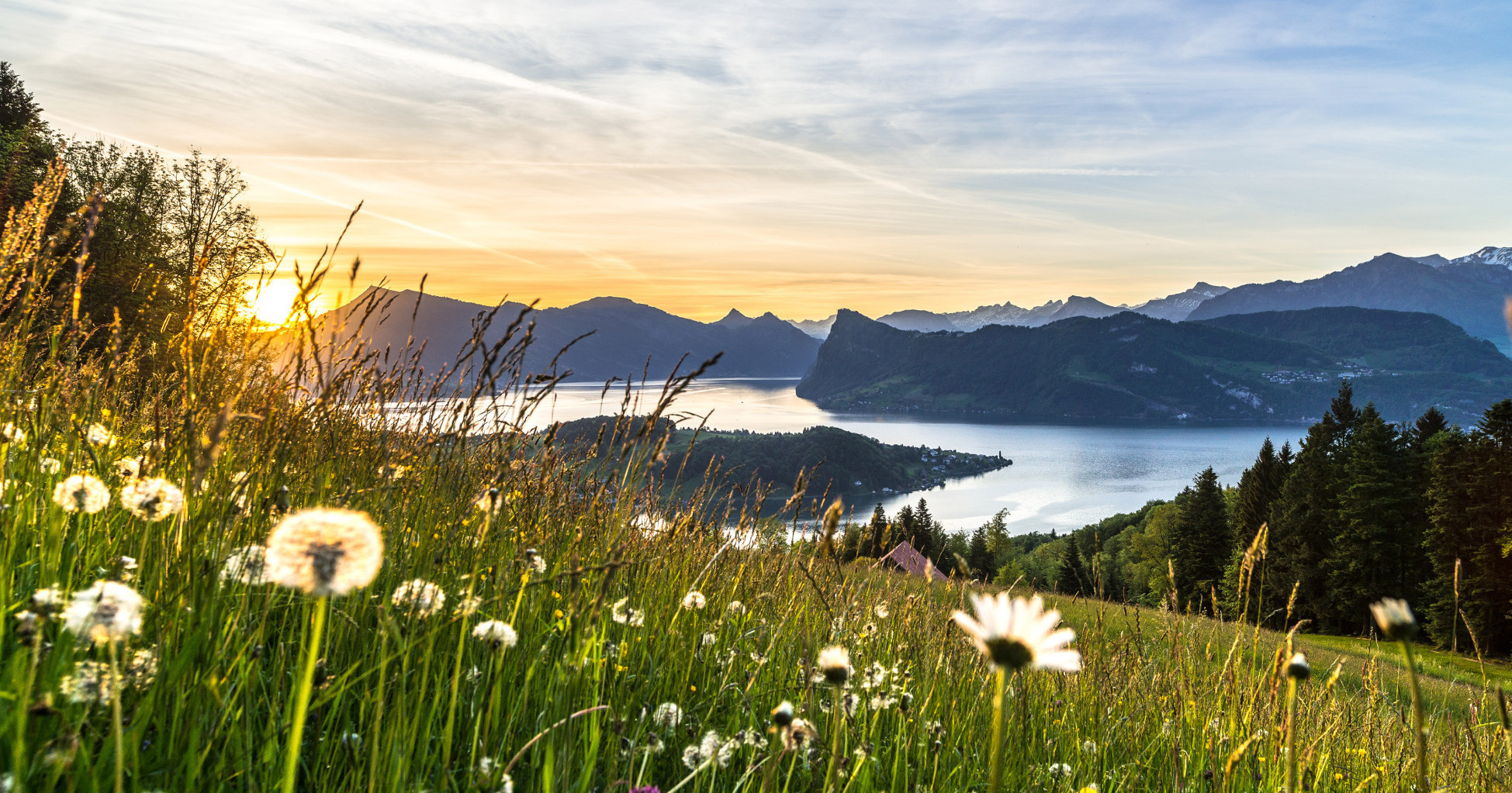 Lake Lucerne Region | Facts and figures about the lake